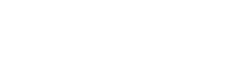 Grupo V.Weiss – Logística & Transportes